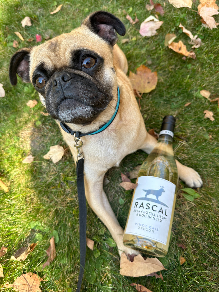 Rascal Wine