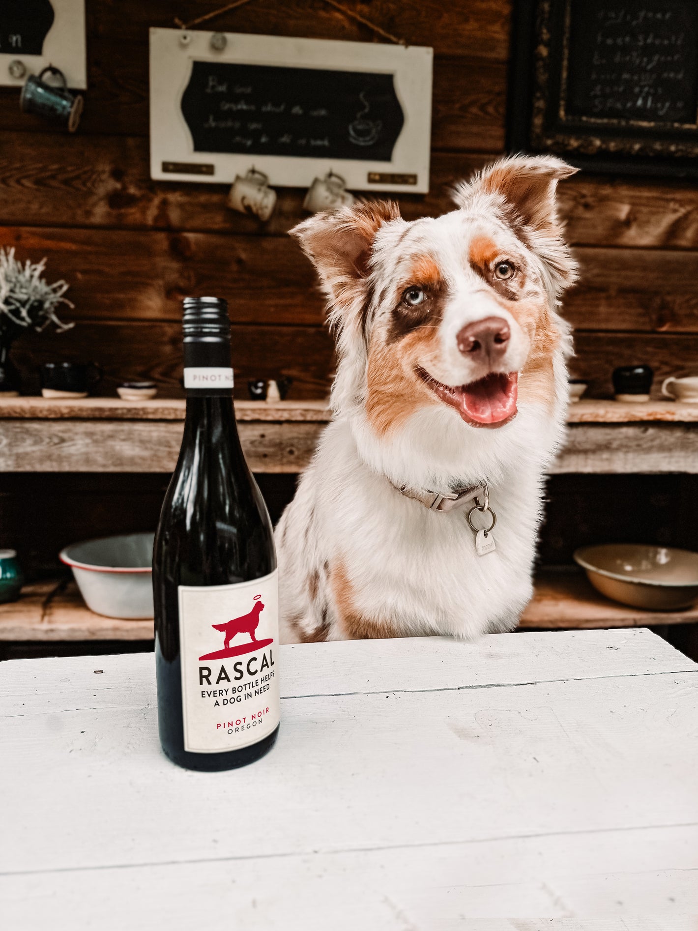 Our Wines – Rascal Wine