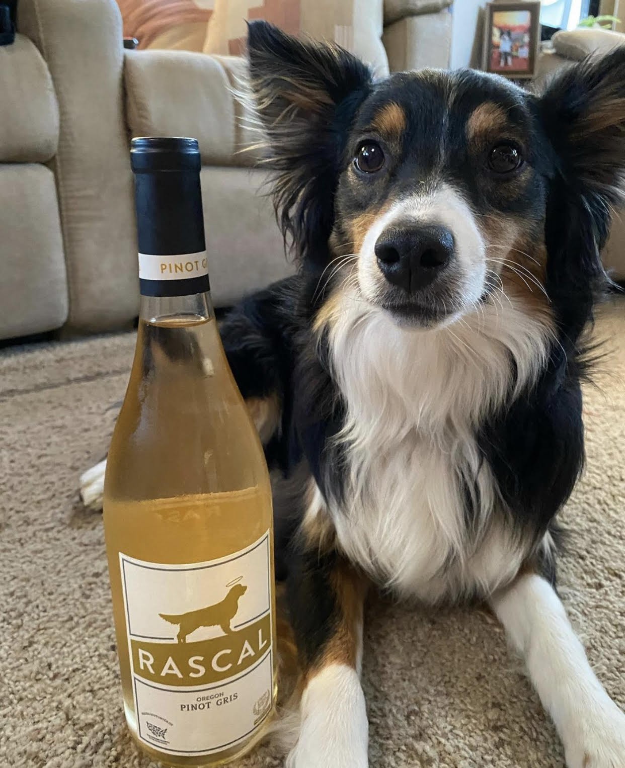 Rascal Wine