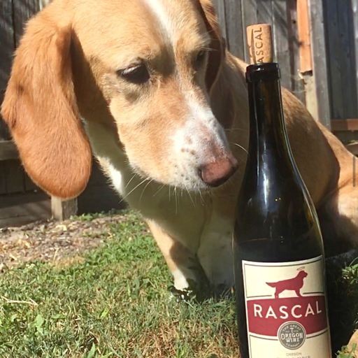 Our Wines – Rascal Wine